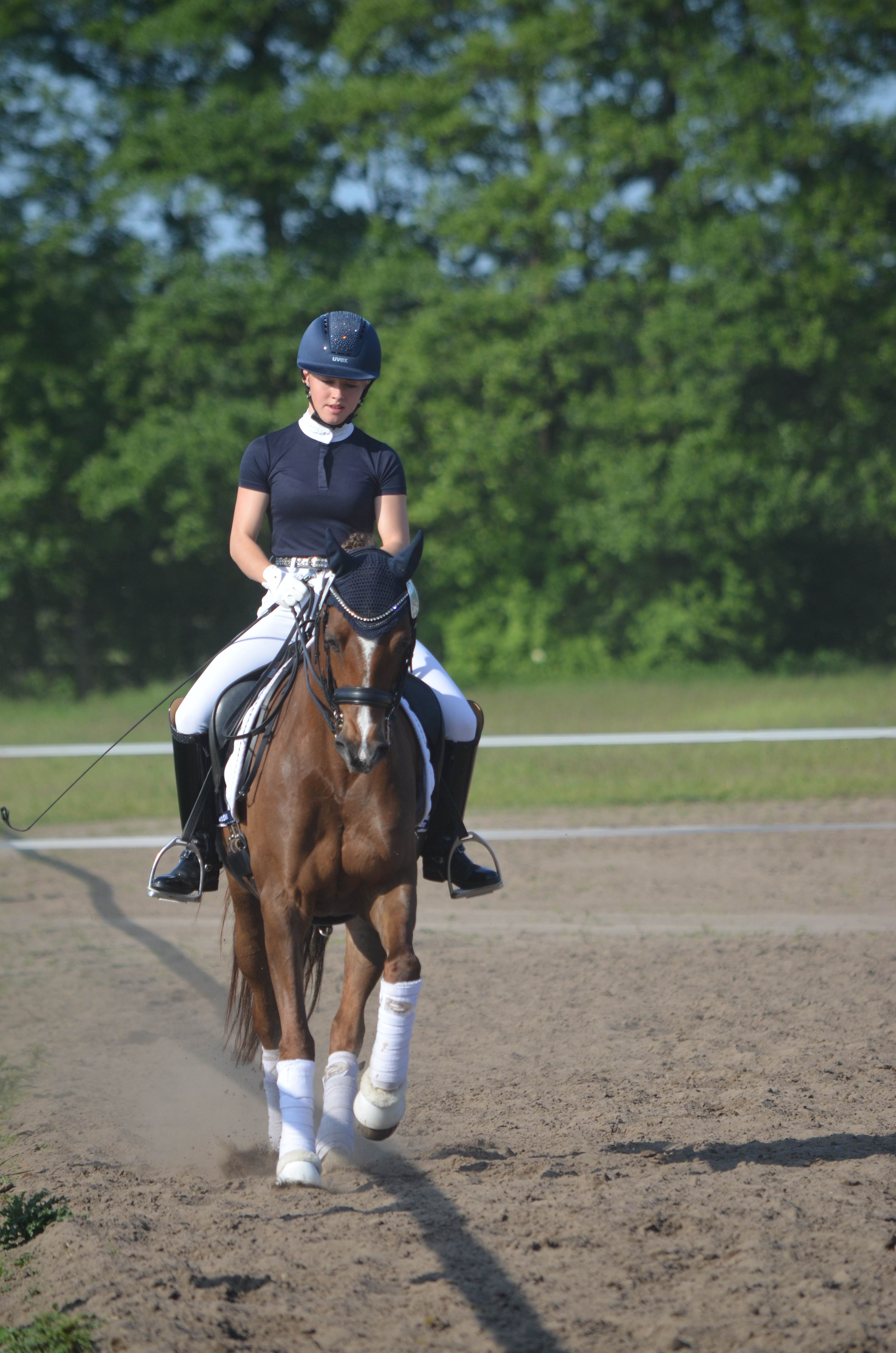 PonyCharakter | Beritt & Pension nahe Hannover auch für Ponys